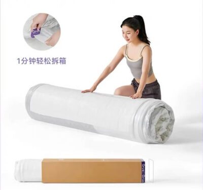 The Future of Space-Saving Comfort: Compression Sofas From China